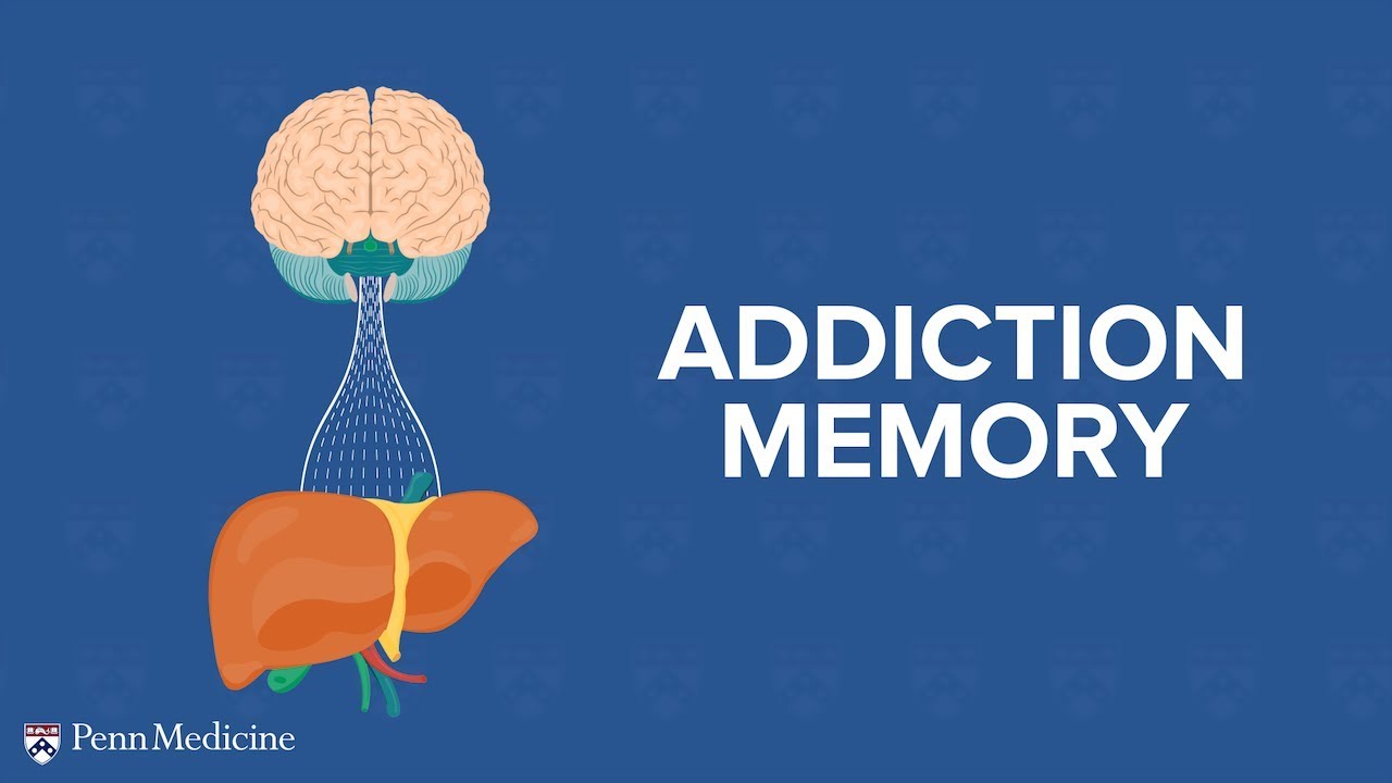 Drinking to Remember: Consuming Alcohol Leads to Epigenetic Changes in ...